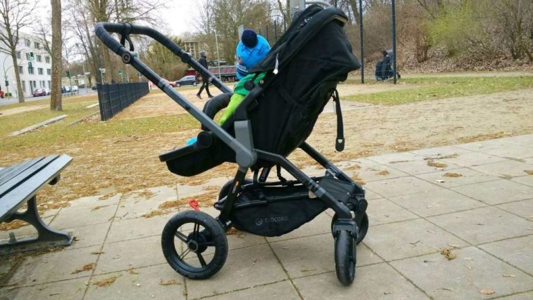Concord Wanderer Buggy im Test: Wie gut ist er wirklich?
